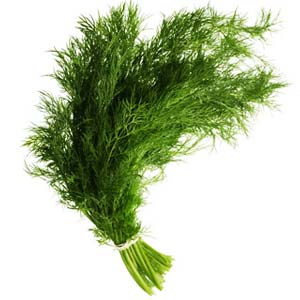Our Products – Bamford Produce